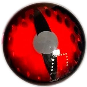 DragonSlit Ruby Colored Contact Lenses - Colored Contact Lenses ...